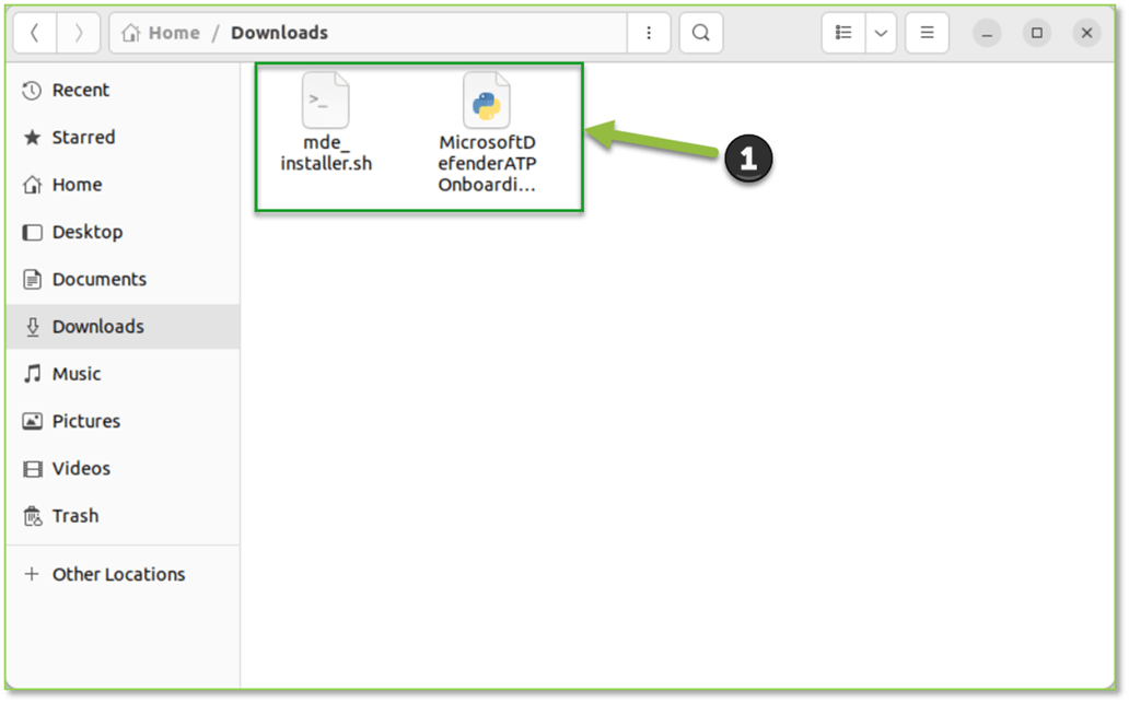 Hands-On Onboarding for MDE (Linux)